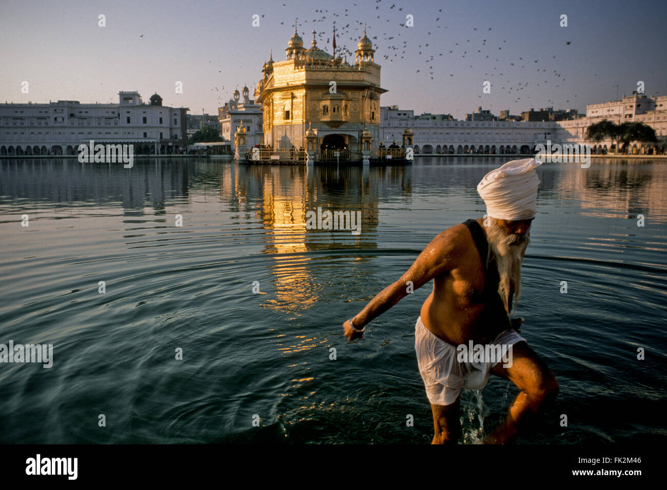 A worshipper emerges from the sacred waters of Golden Temple's lake in ...