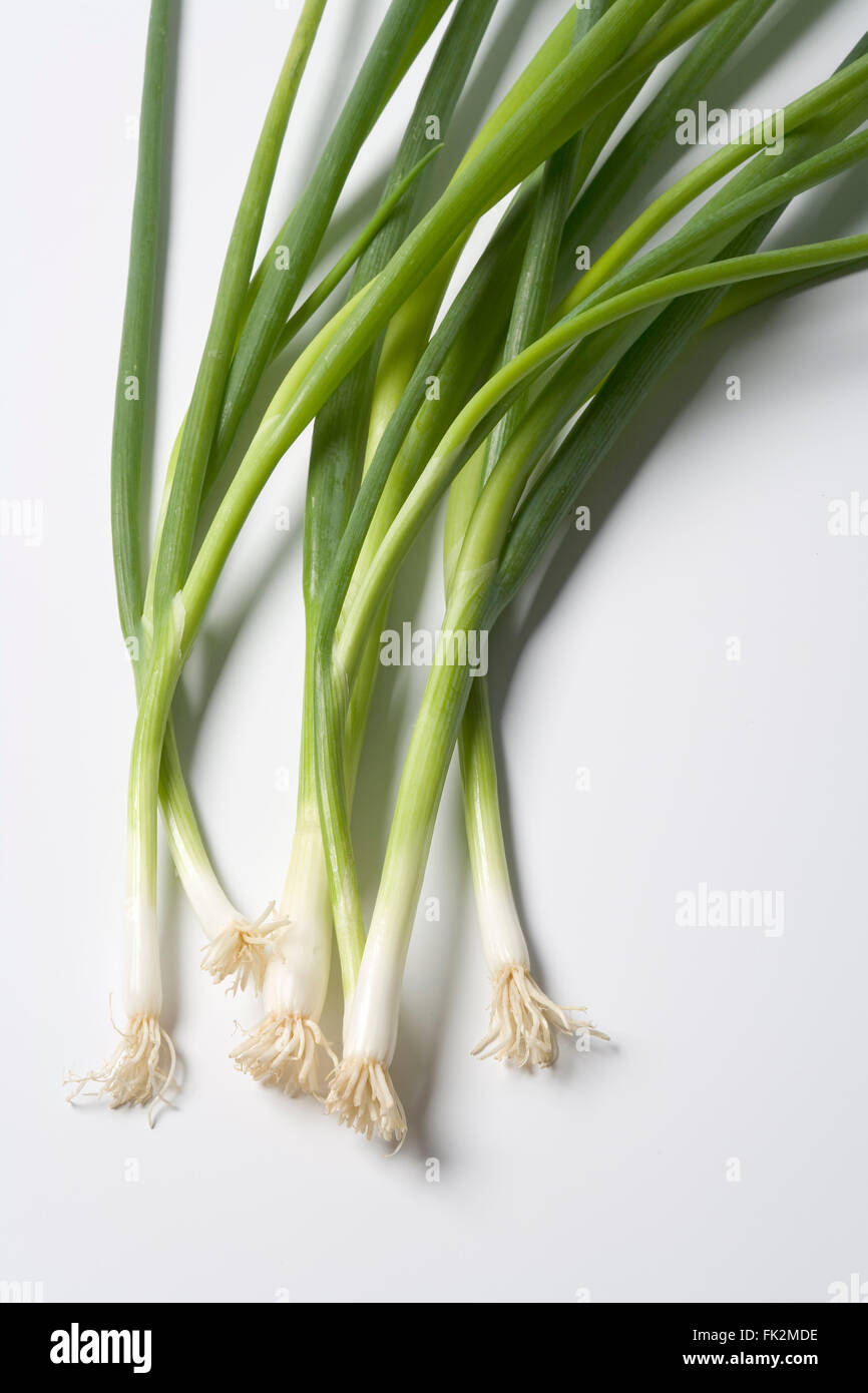 Seasonng hi-res stock photography and images - Alamy