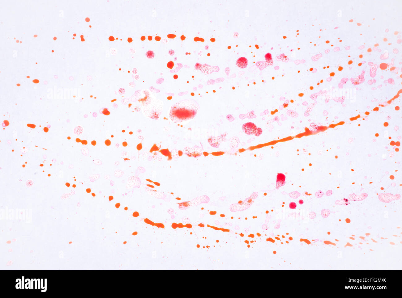 watercolor drops on paper, splashes isolated on white background Stock ...