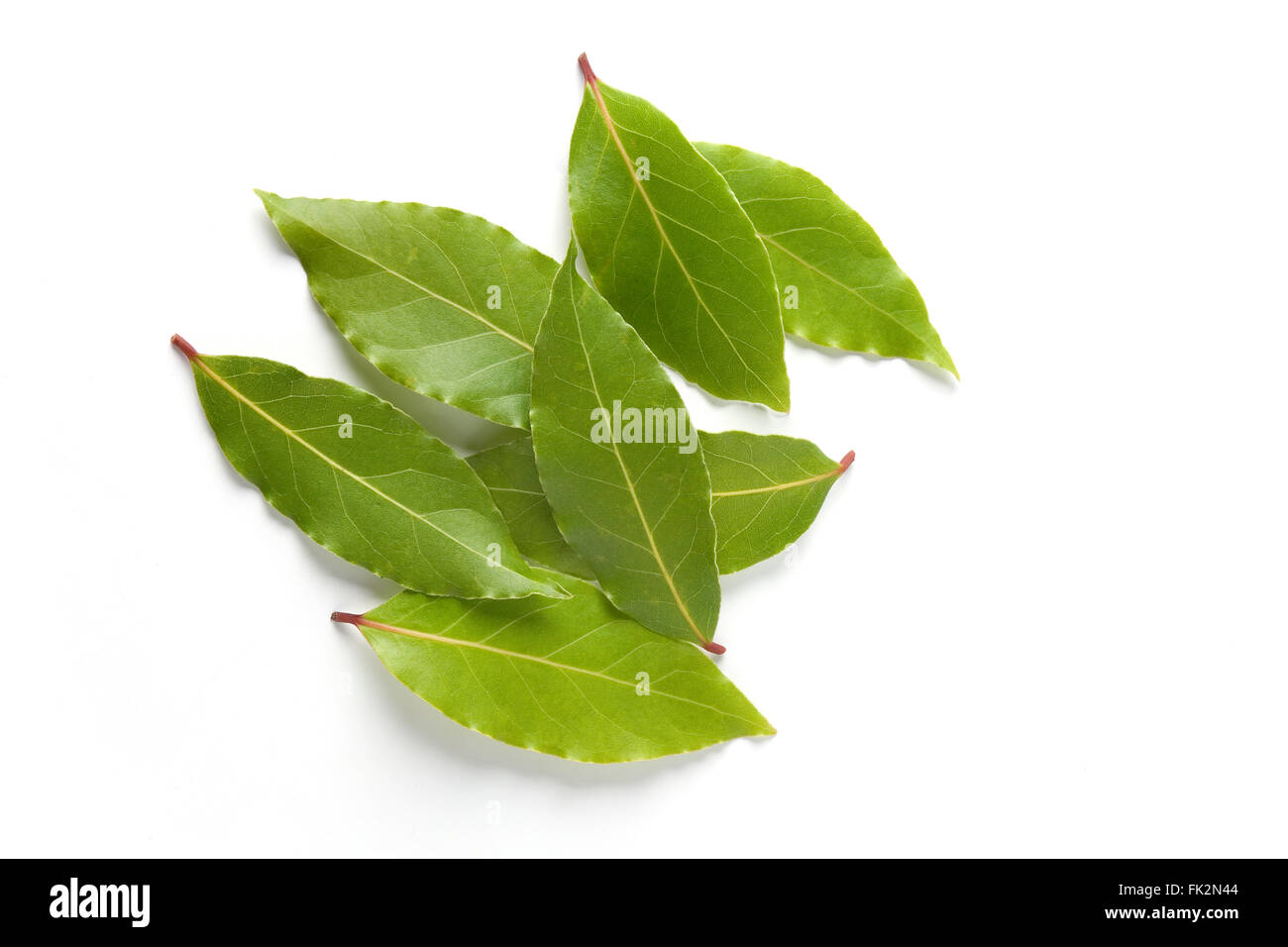 Fresh Bay Leaves On White Background Stock Photo - Alamy