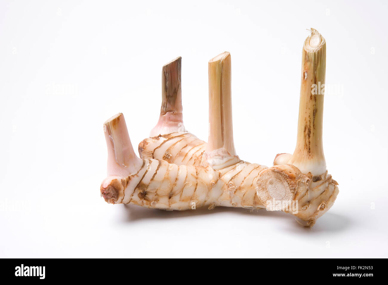 Fresh roots of Chinese ginger on white background Stock Photo - Alamy