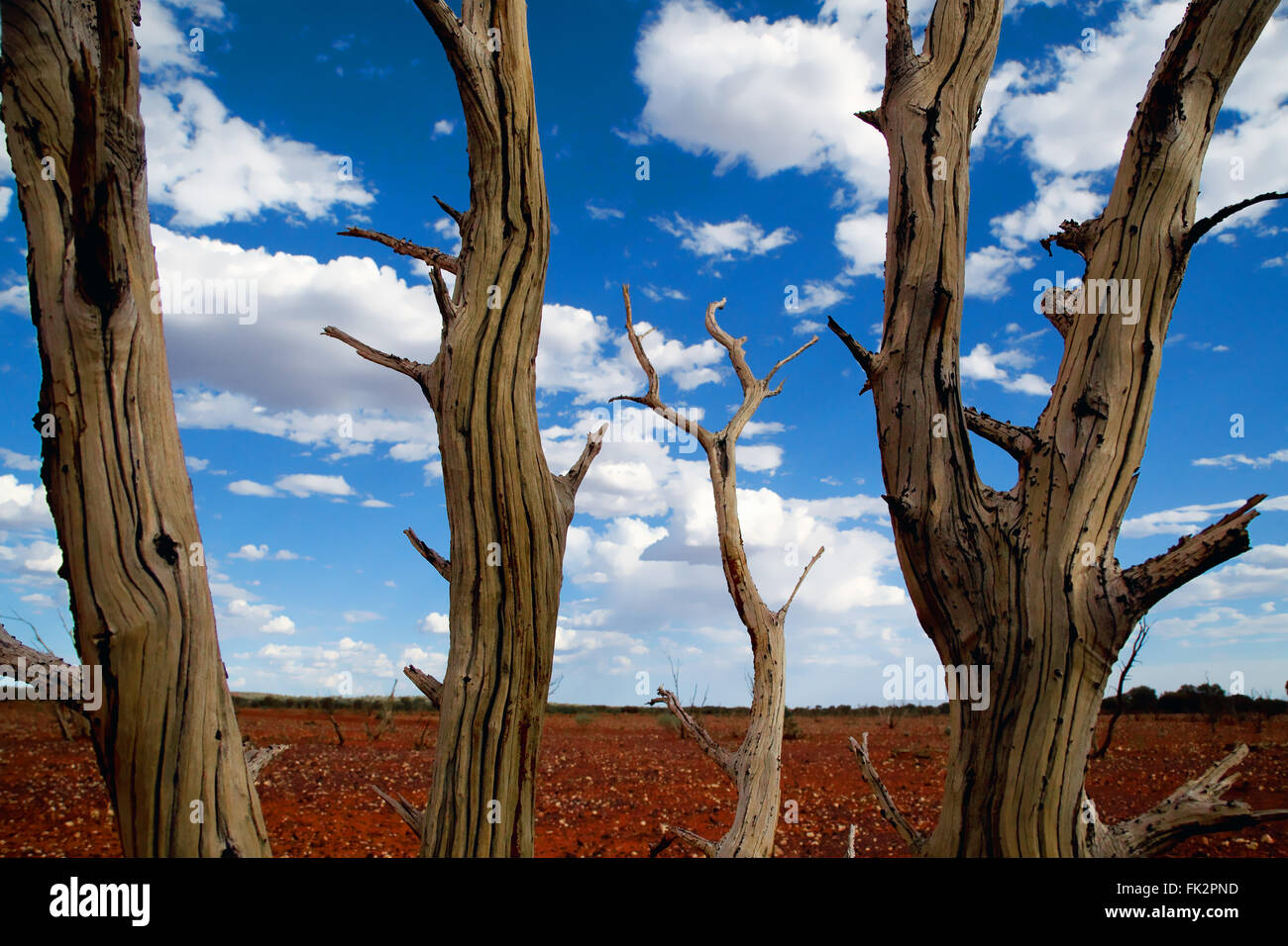 Gibson desert australia hi-res stock photography and images - Alamy