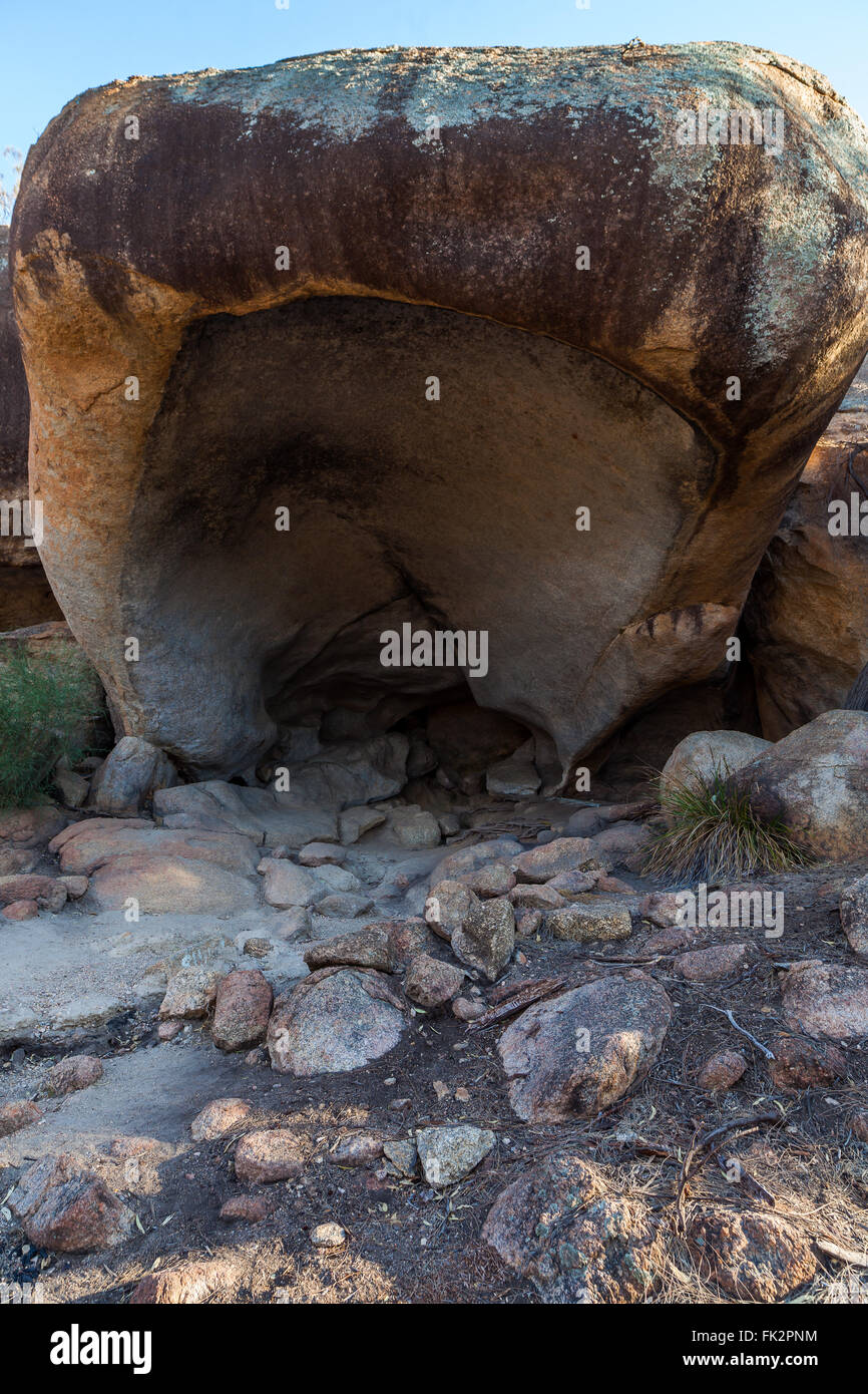 Hippo yawn hyden australia hi-res stock photography and images - Alamy