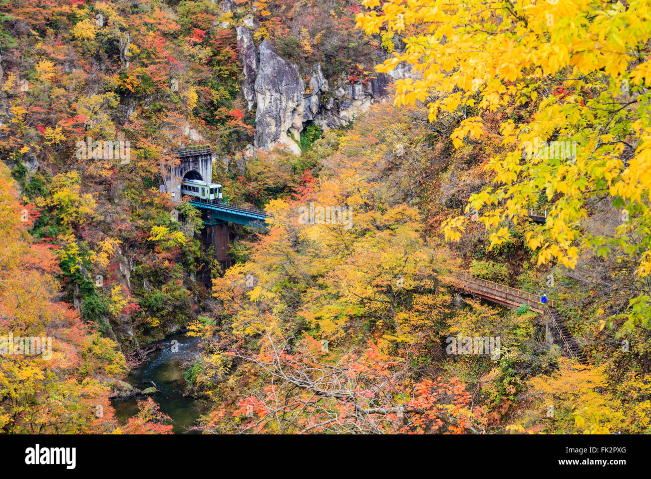 The Naruko Gorge Autumn leaves in the fall season, Japan Stock Photo ...