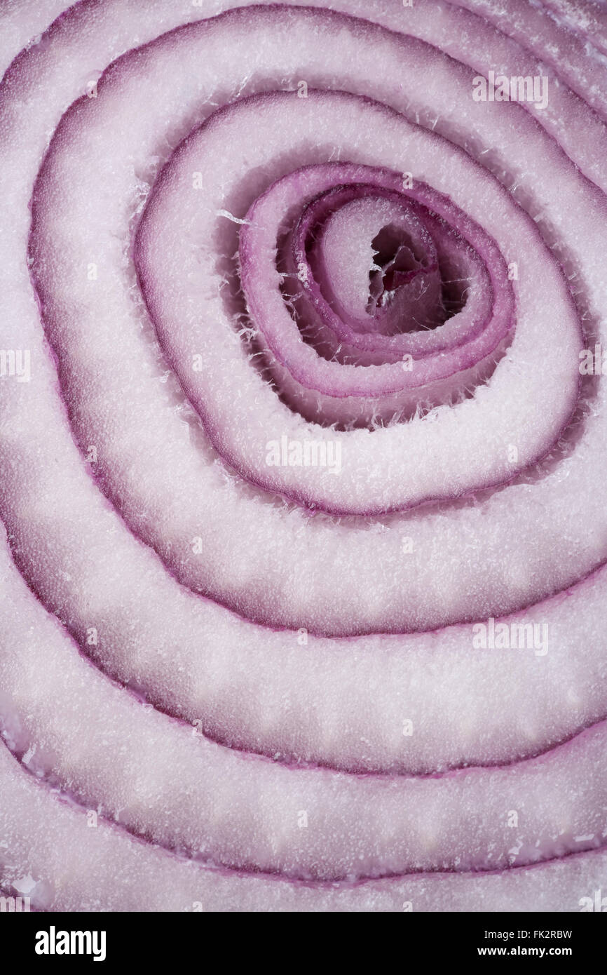 Structure of half fresh red onion full frame Stock Photo - Alamy
