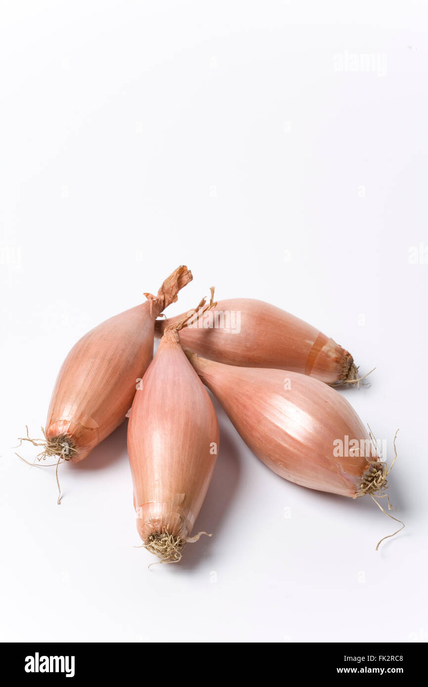 Four Fresh Echalion Shallots On White Background Stock Photo - Alamy