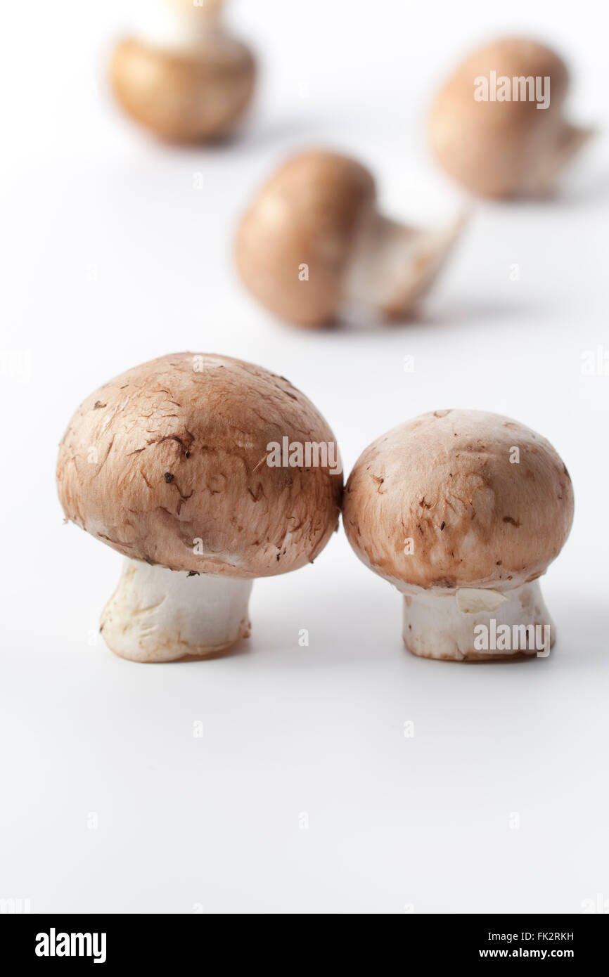 Chestnut Mushrooms High Resolution Stock Photography and Images - Alamy