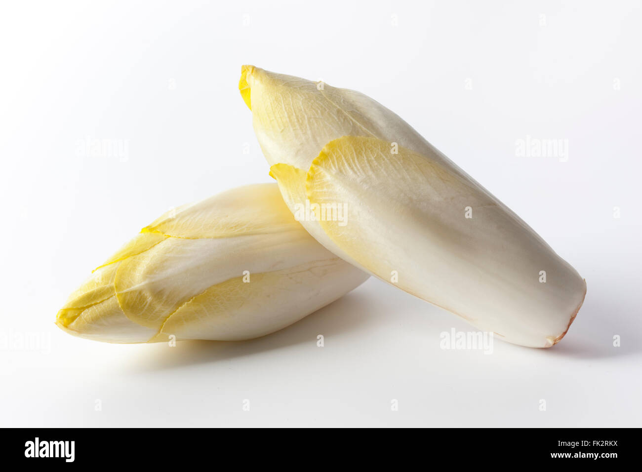 Witloof chicory hi-res stock photography and images - Alamy
