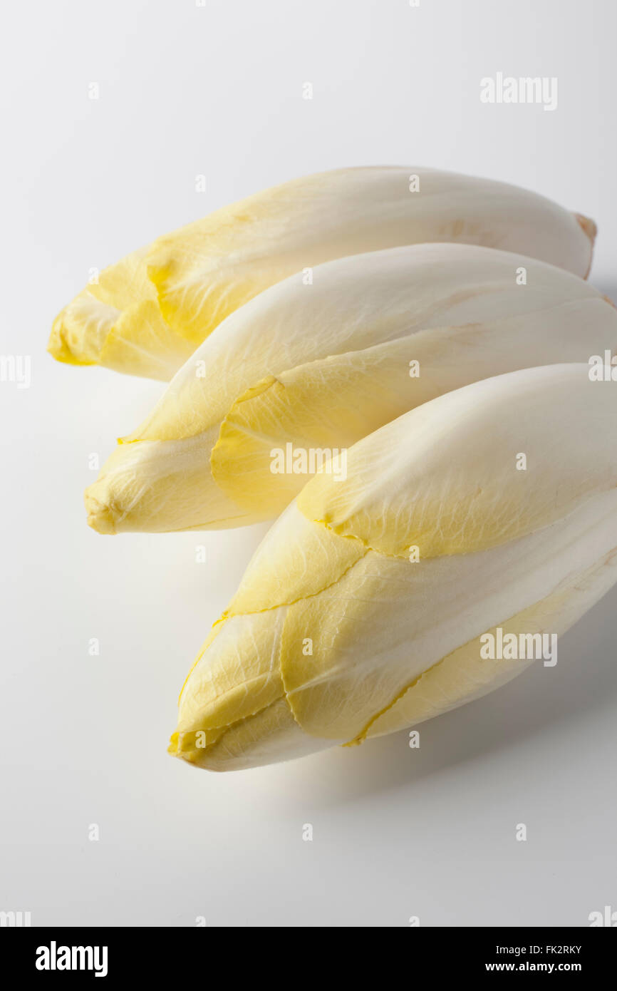 Witloof chicory hi-res stock photography and images - Alamy