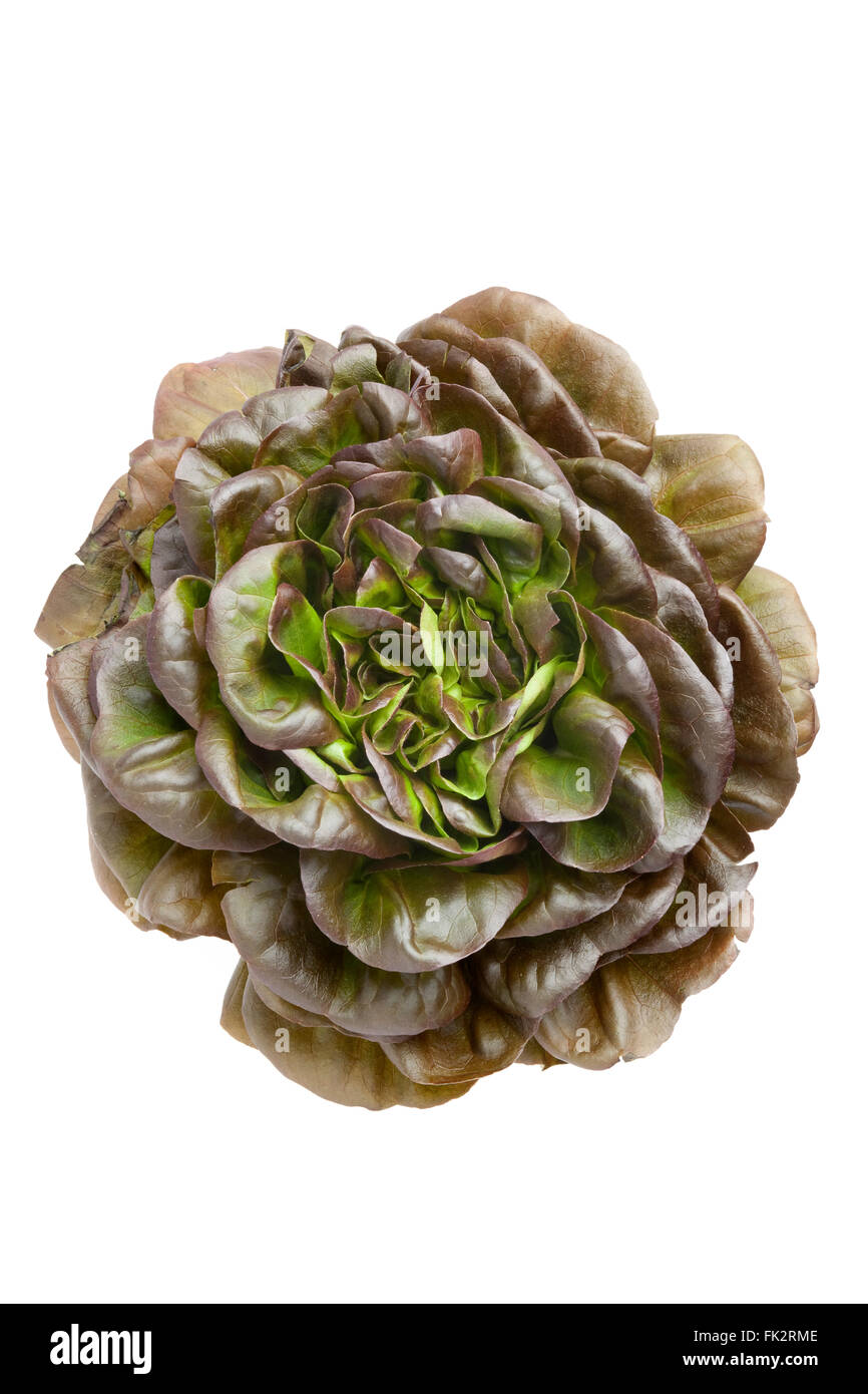 Salanova hi-res stock photography and images - Alamy