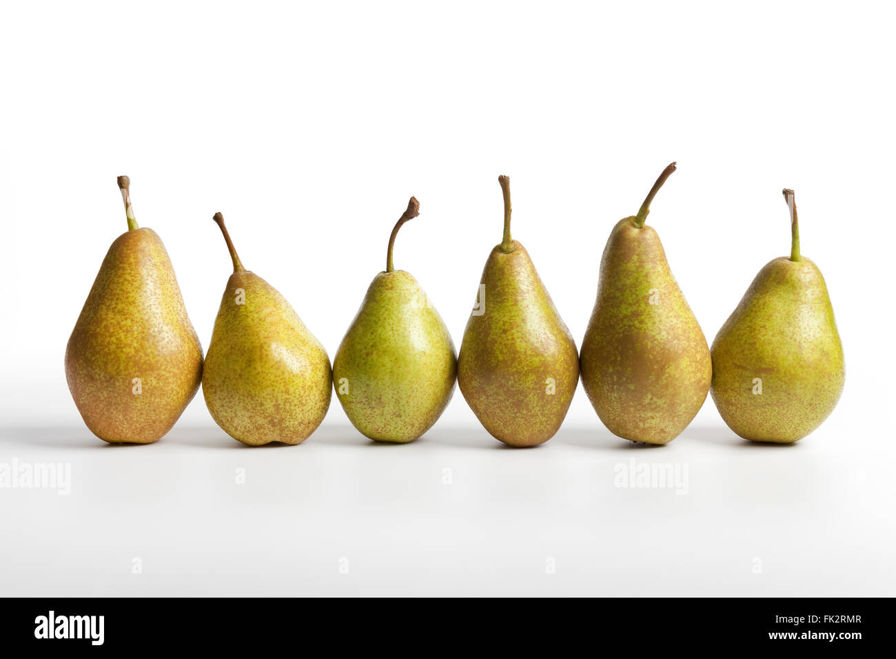 Row of six fresh ripe Pears Triomphe de Vienne on white background ...