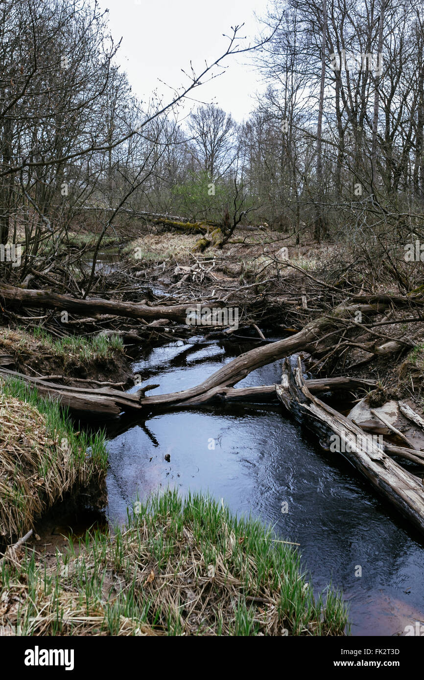 Fallen trees by the river hi-res stock photography and images - Alamy