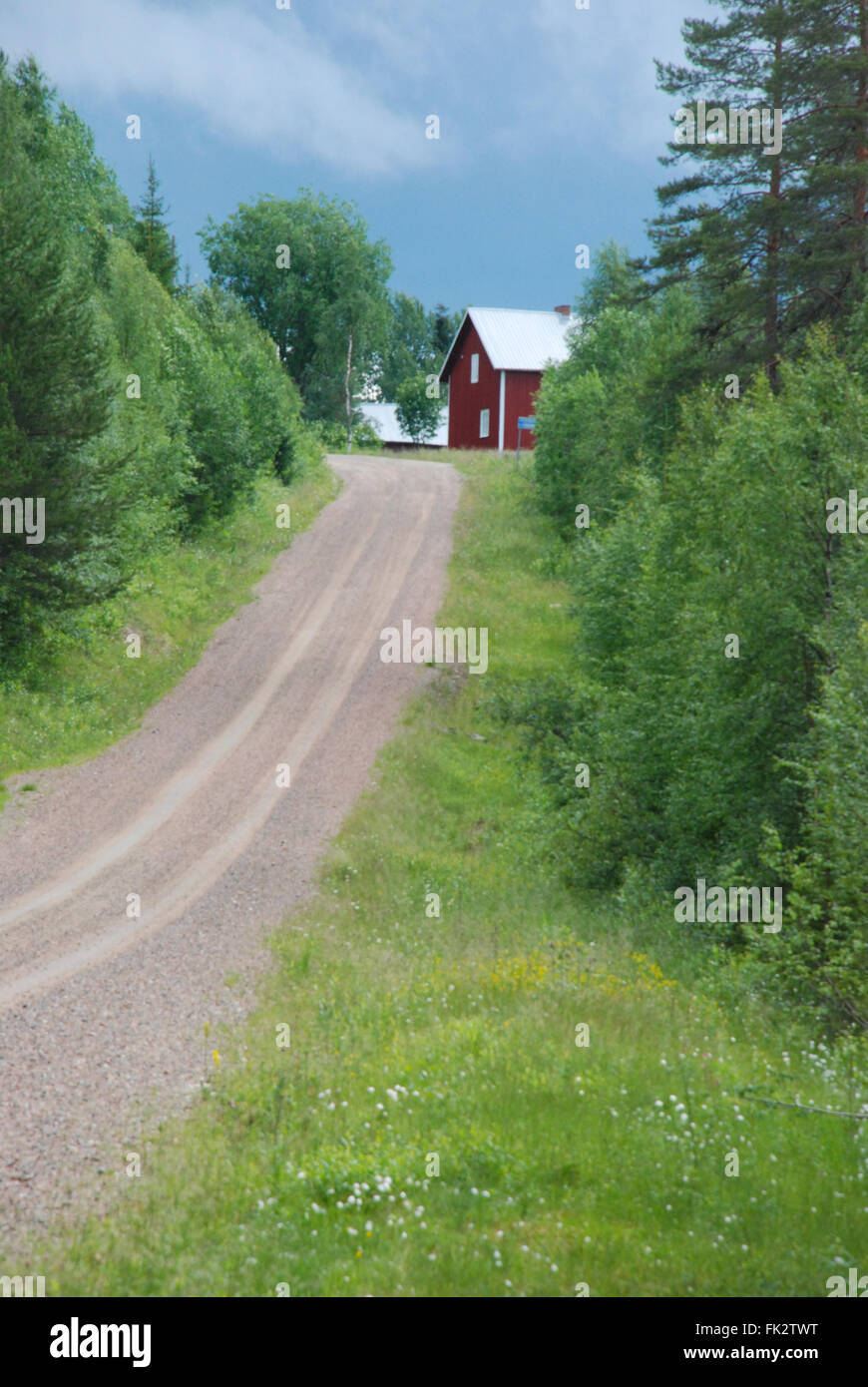 Country lane landscape in Taiga forest in eastern Finland with red ...