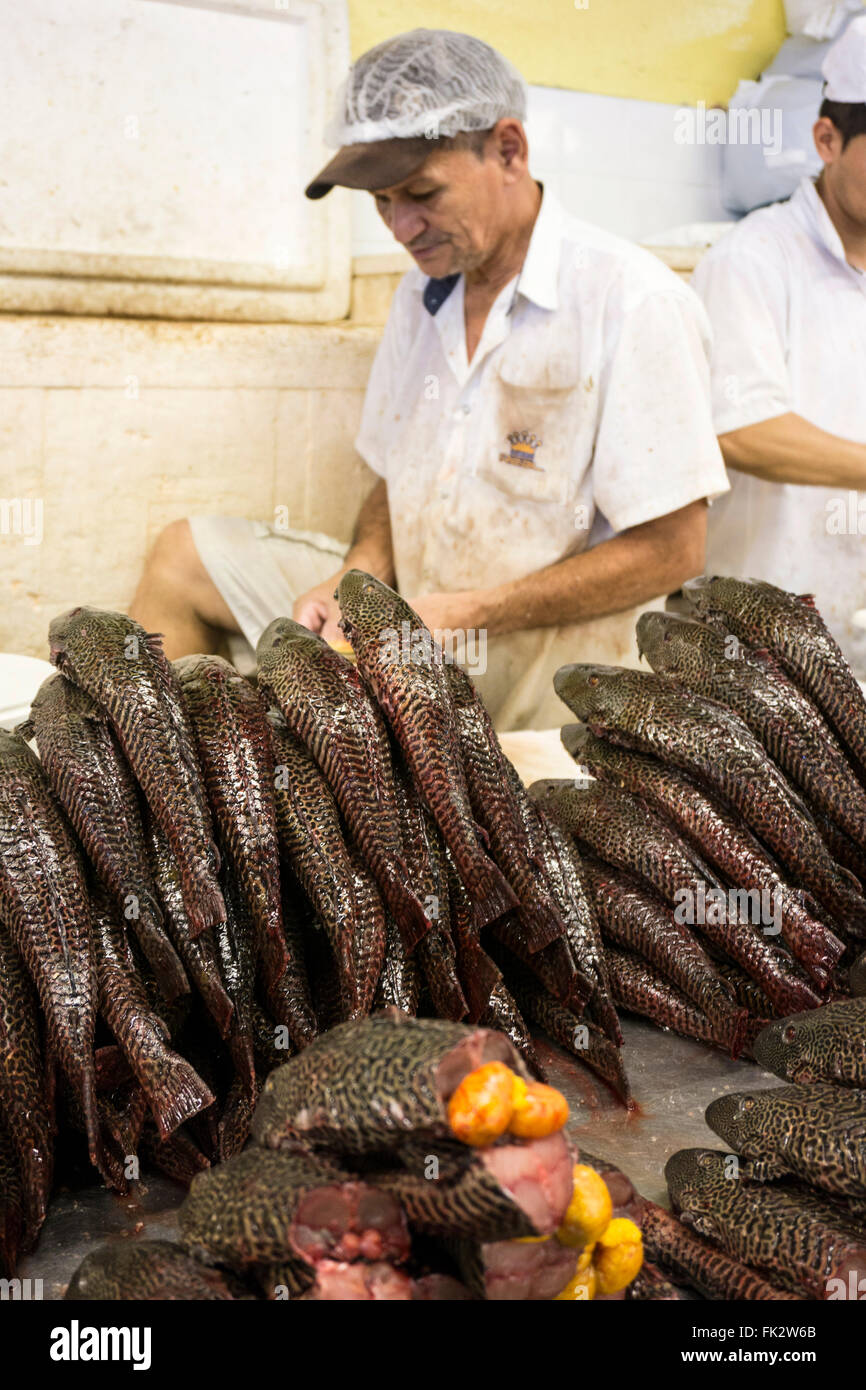 Manaus fish market hi-res stock photography and images - Alamy