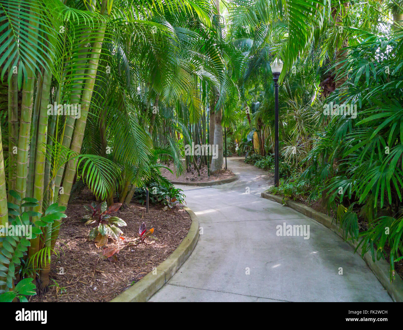 Path in Sunken Gardens in St Petersburg Florida Stock Photo - Alamy