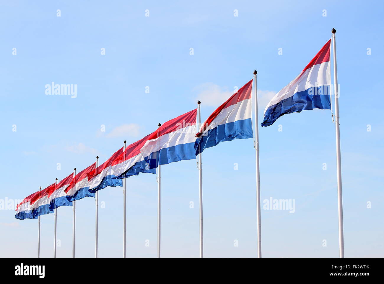 Nine Dutch Flags moving in the steady breeze, Rotterdam, The ...