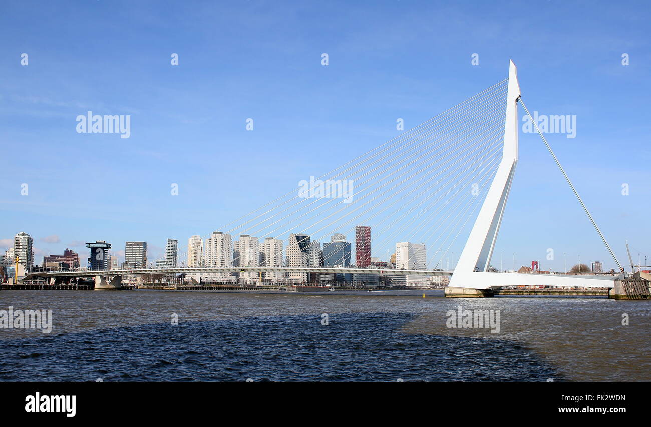 Iconic Erasmus bridge (Erasmusbrug), Rotterdam, Netherlands. Designed ...