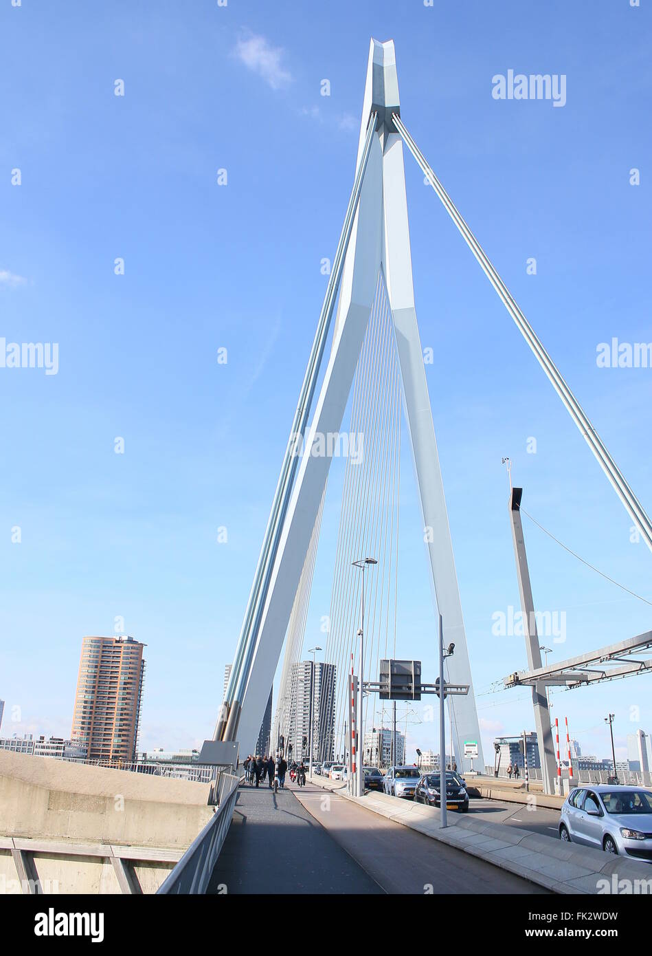 Iconic Erasmus bridge (Erasmusbrug), Rotterdam, Netherlands. Designed ...