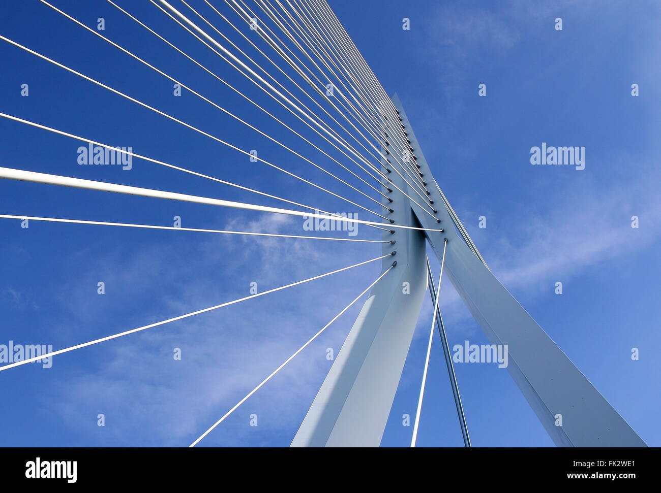 Central pylon & cables of the Erasmus bridge (Erasmusbrug), Rotterdam ...