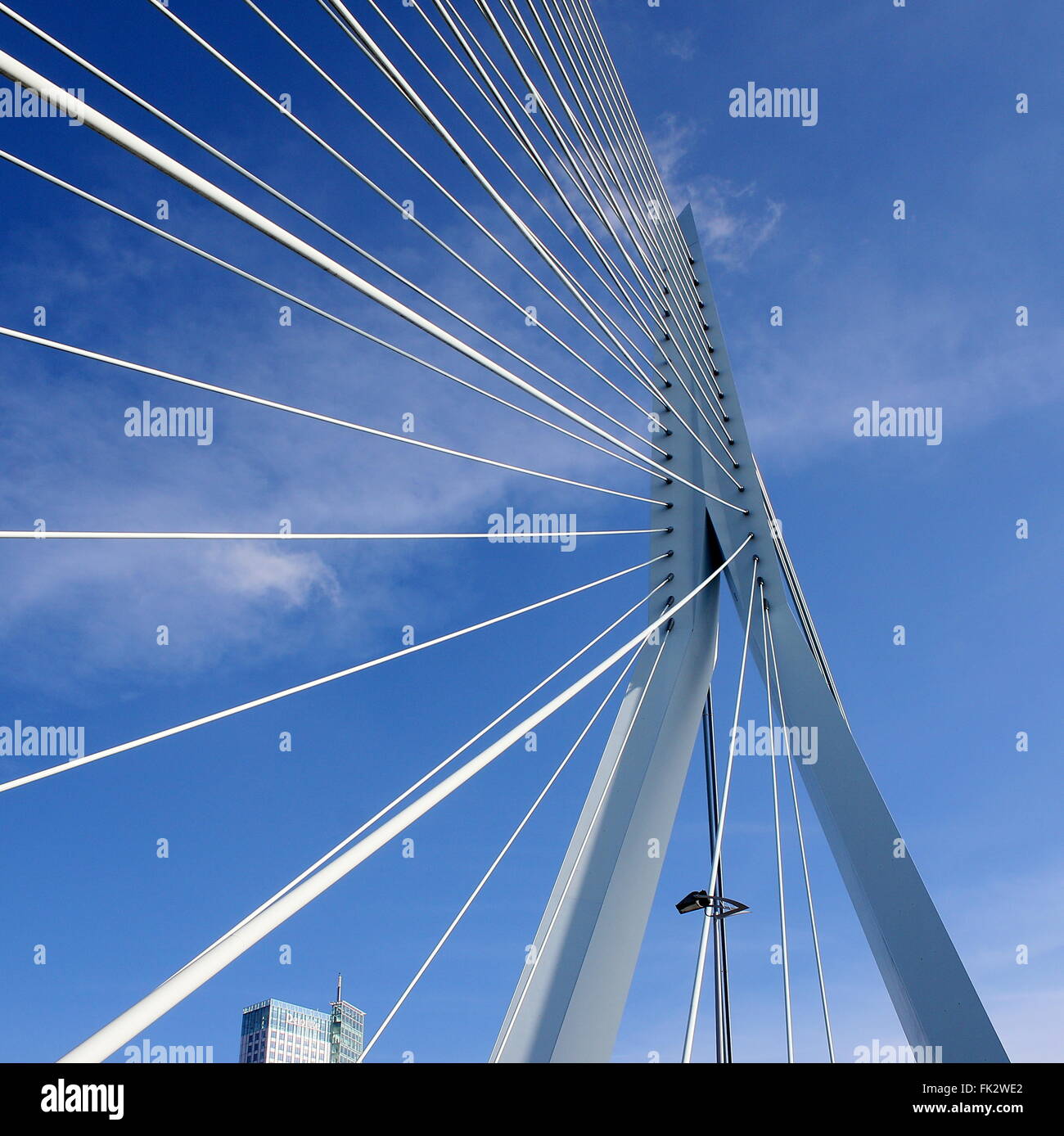 Central pylon & cables of the Erasmus bridge (Erasmusbrug), Rotterdam ...
