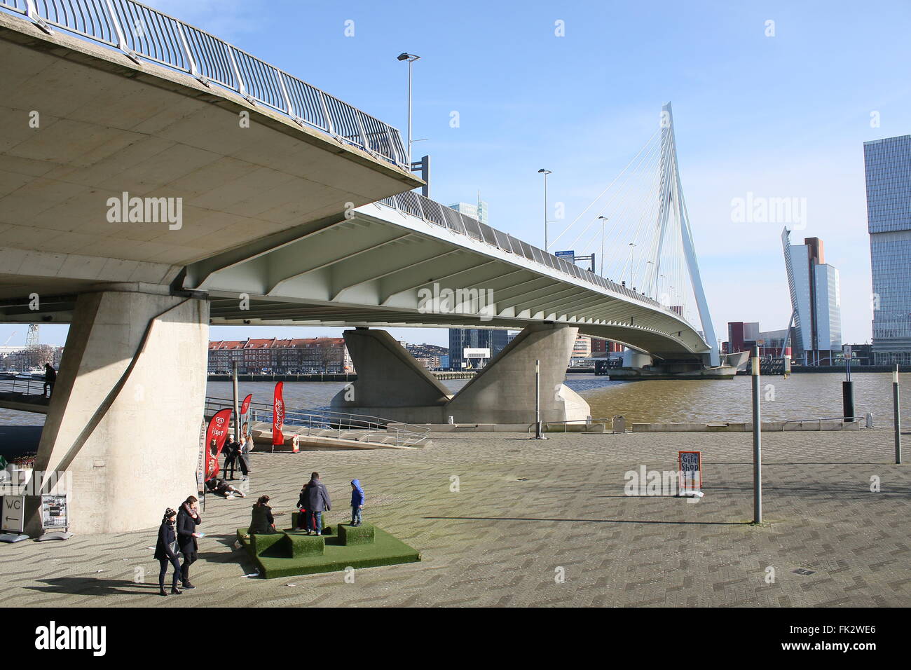 Iconic Erasmus bridge (Erasmusbrug), Rotterdam, Netherlands. Designed ...