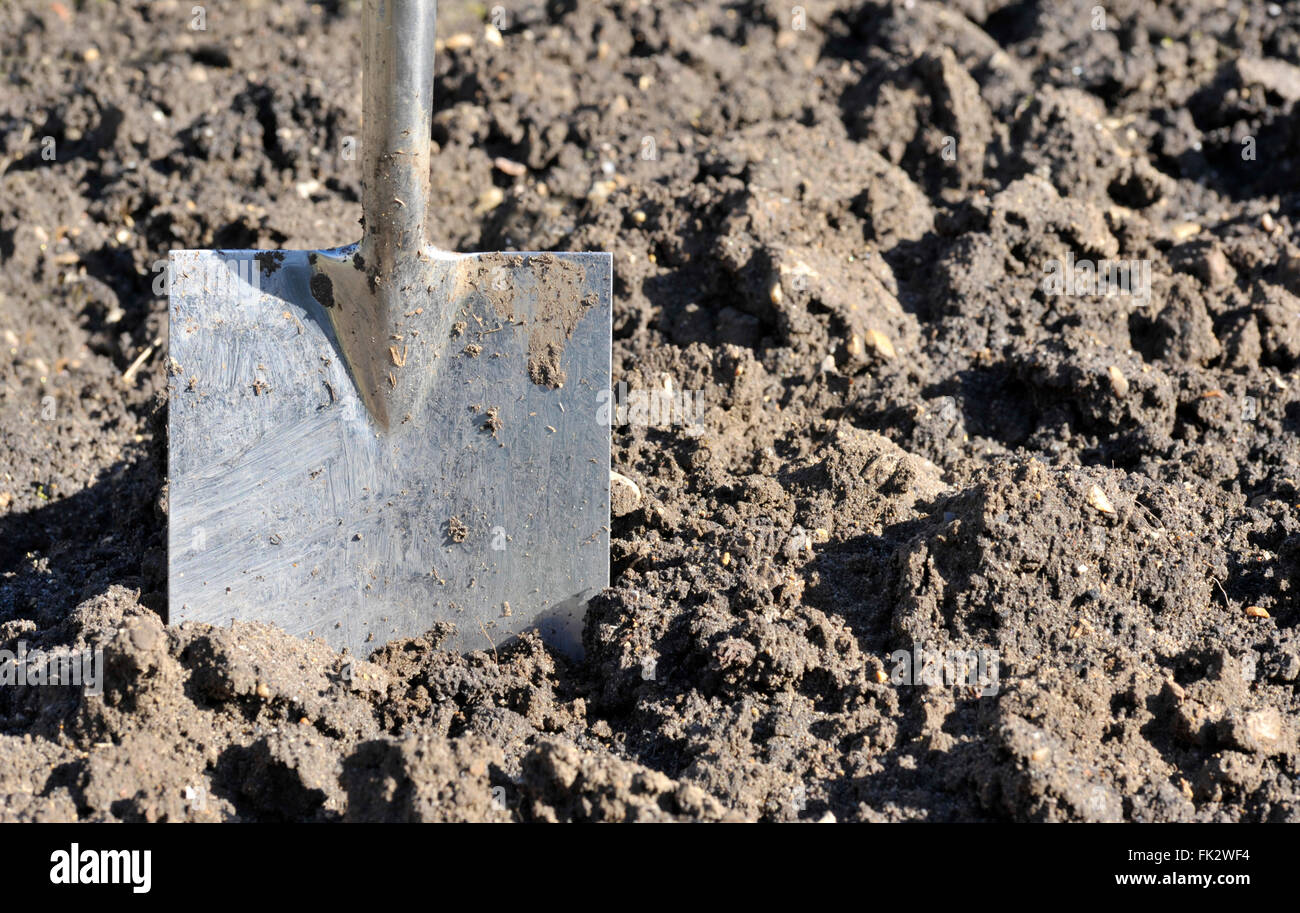 Soil preparation by digging with a garden spade Stock Photo - Alamy