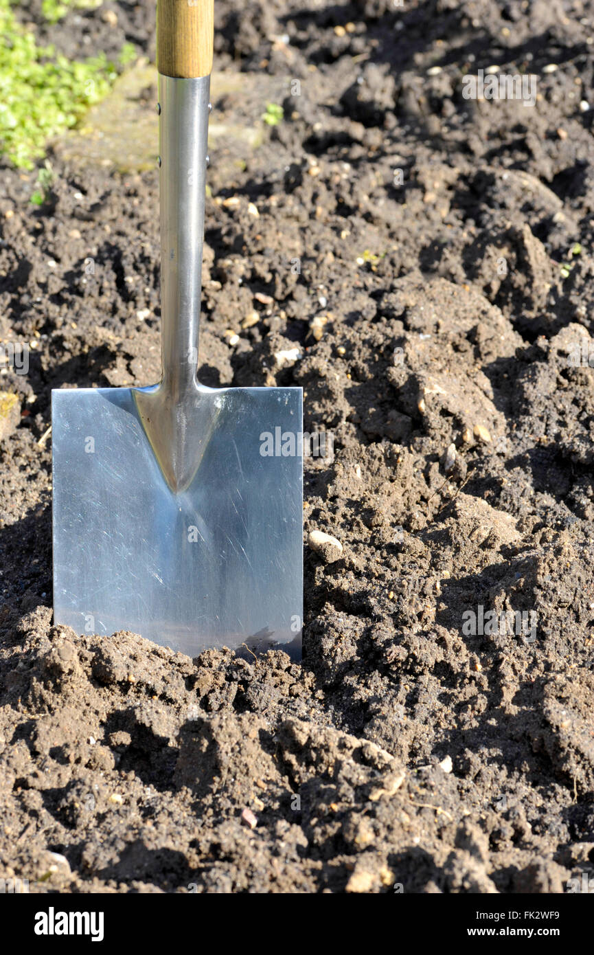 Soil preparation by digging with a garden spade Stock Photo - Alamy