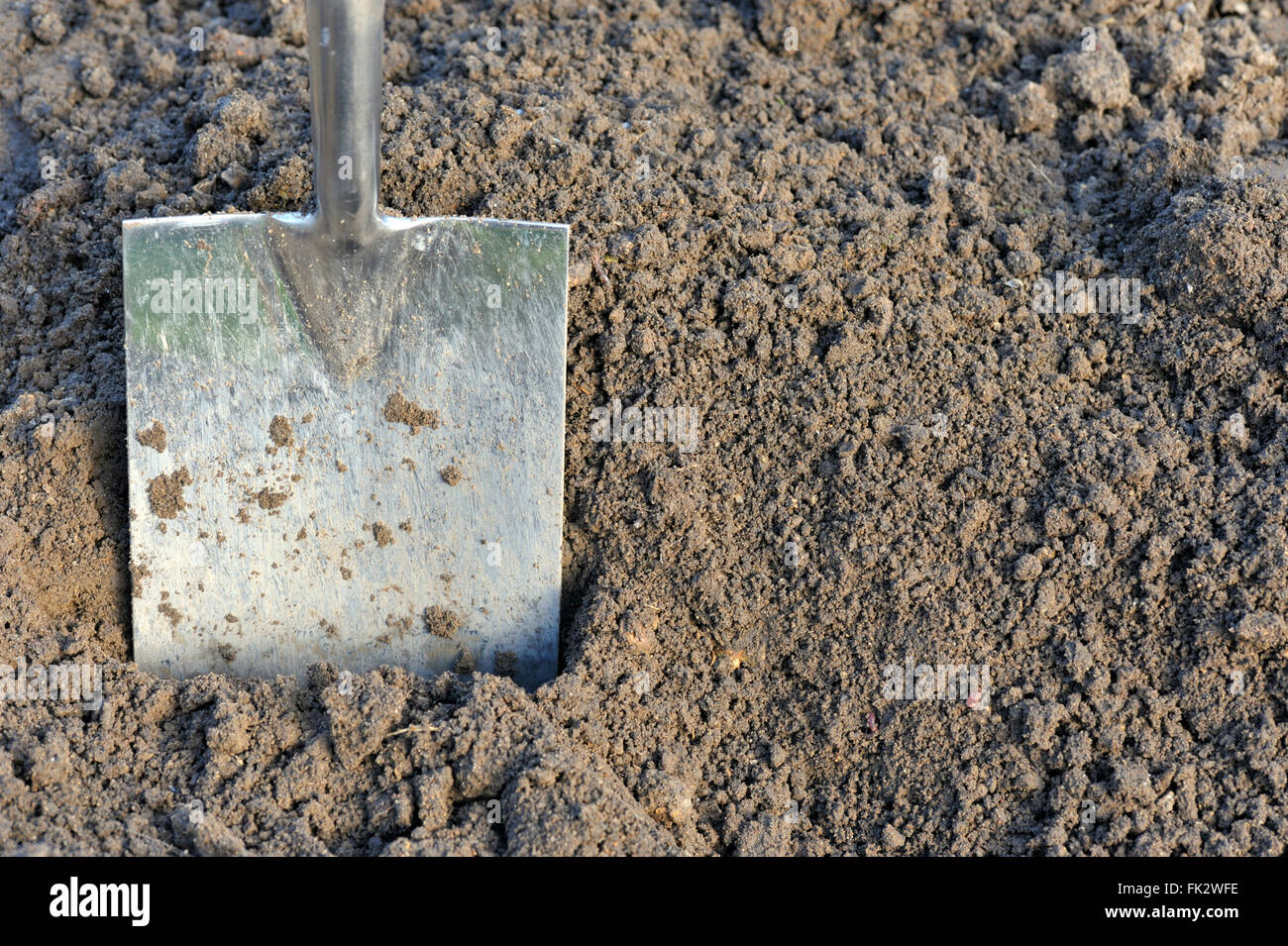 Soil preparation by digging with a garden spade Stock Photo - Alamy