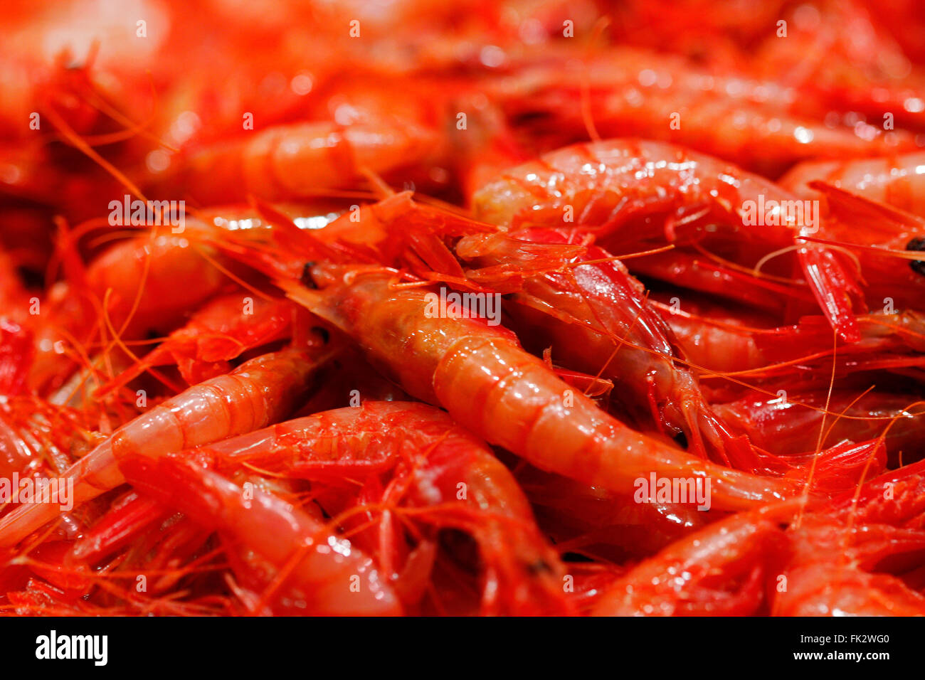 Shrimp in one market Stock Photo - Alamy