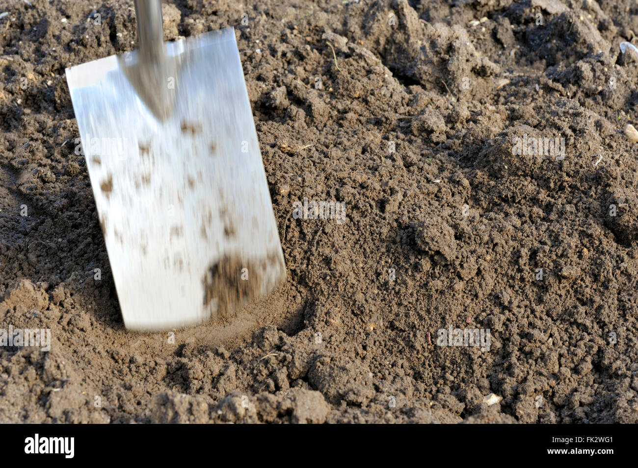 Moving garden spade, topsoil preparation by seasonal digging Stock ...