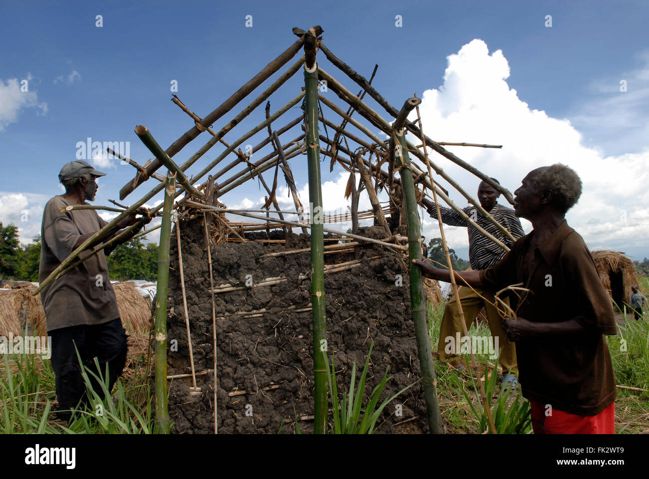 Displaced Congolese men set up a hut made of banana poles and mud in a ...