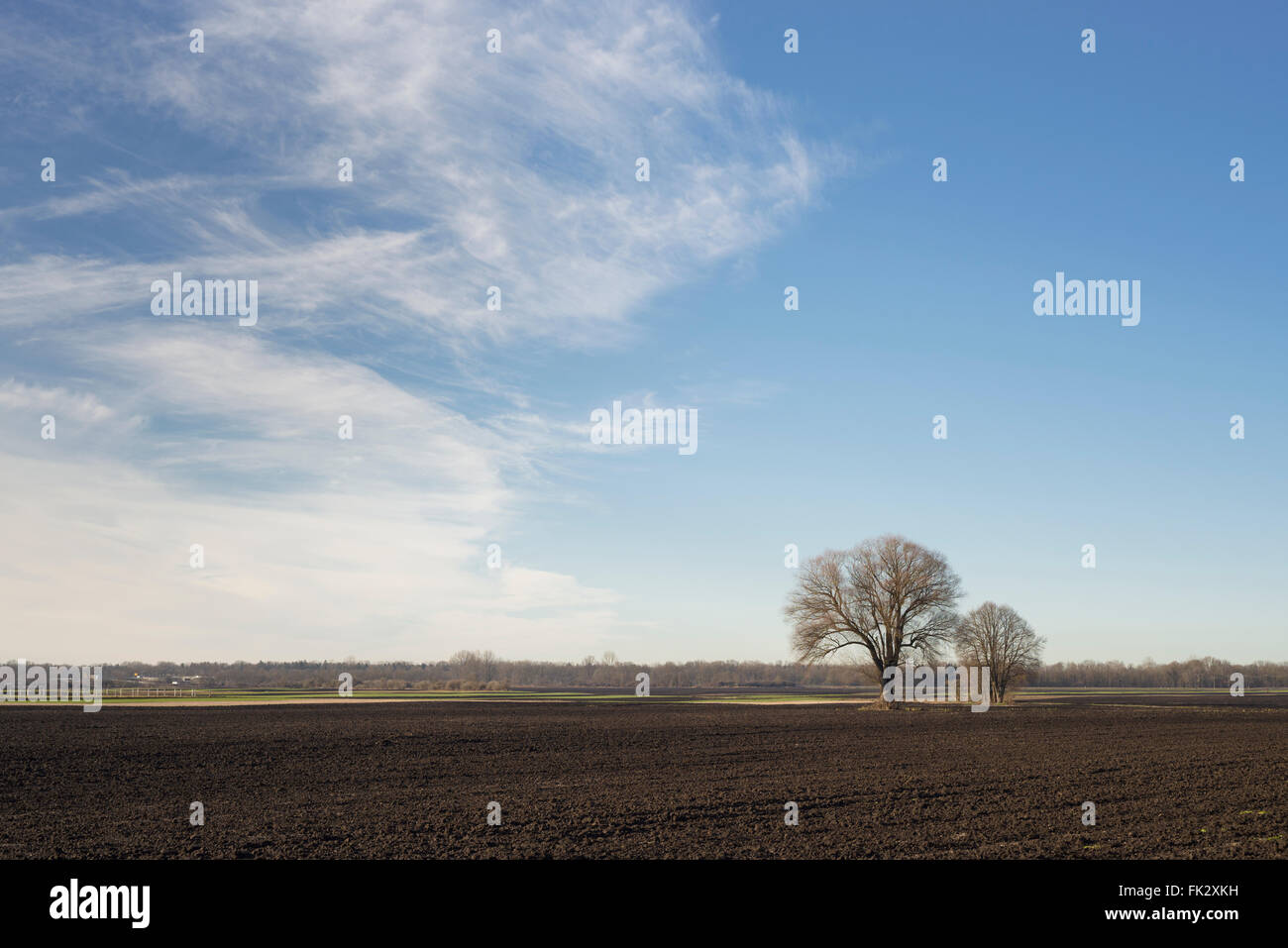 Rural landscape with fields, trees and fields in Upper Bavaria just ...