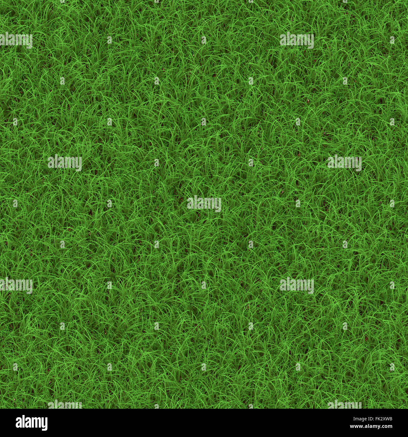 green grass texture seamless Stock Photo - Alamy