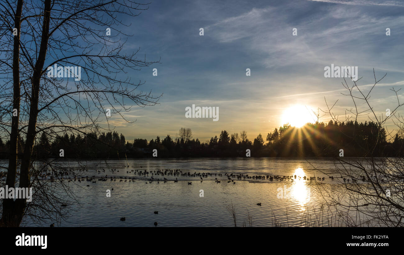 Frozen sunset landscape with nature hi-res stock photography and images ...