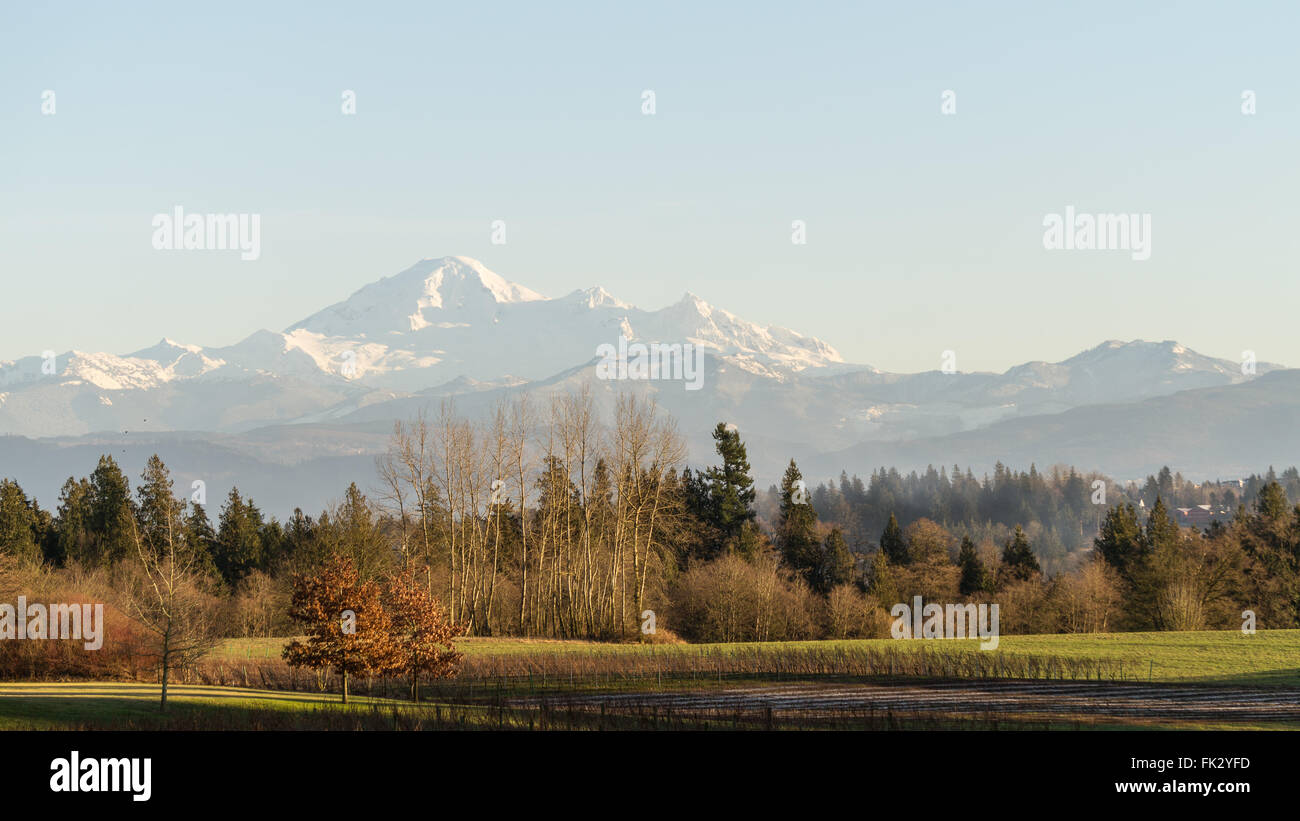 View of mount baker from canada hi-res stock photography and images - Alamy