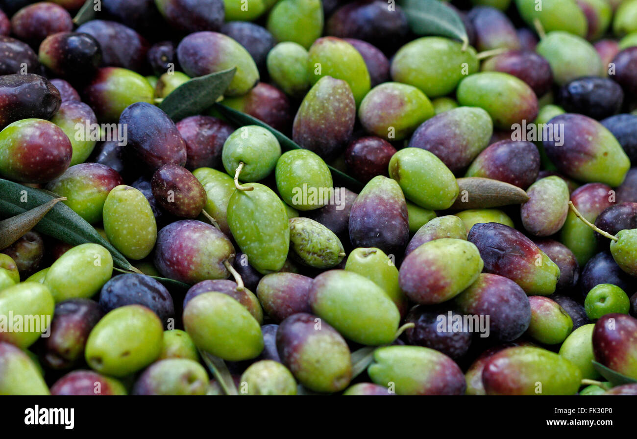 Eat well symbol hi-res stock photography and images - Alamy