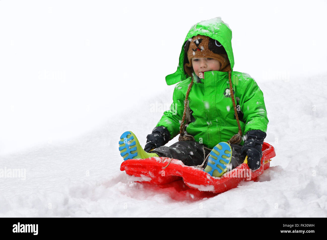 Little boy on a bobsled isolated on white Stock Photo - Alamy