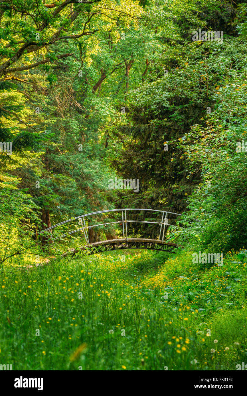Decorative bridge hi-res stock photography and images - Alamy