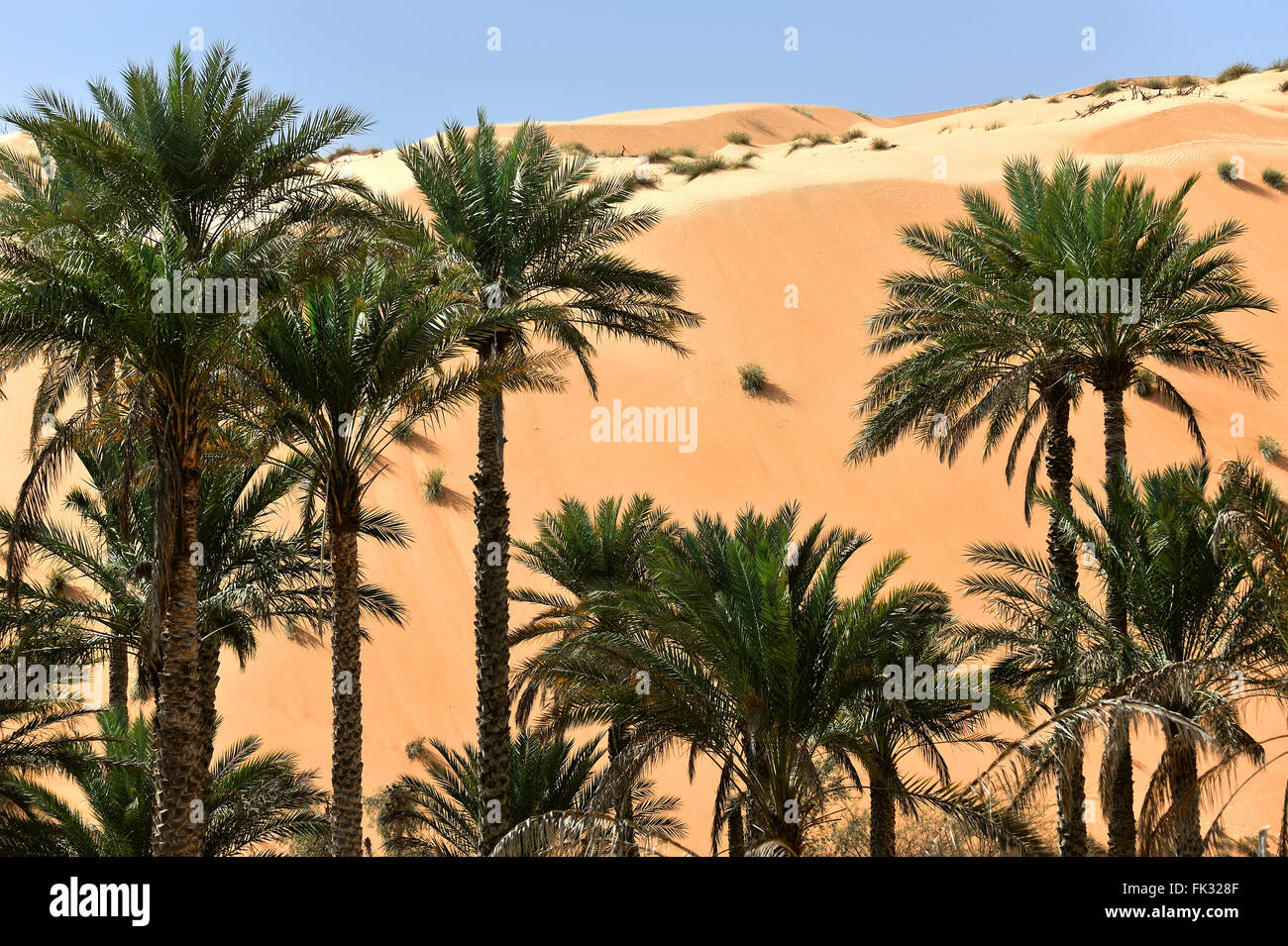 Hawiyah hi-res stock photography and images - Alamy
