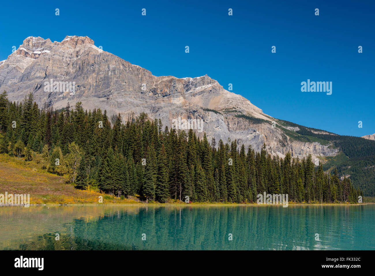 Emerald Lake, Yoho National Park, Canadian Rockies, British Columbia ...