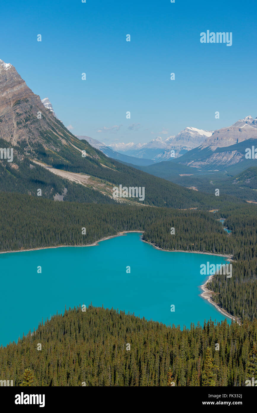 Turquoise glacier Peyto Lake, Banff National Park, Canadian Rockies ...