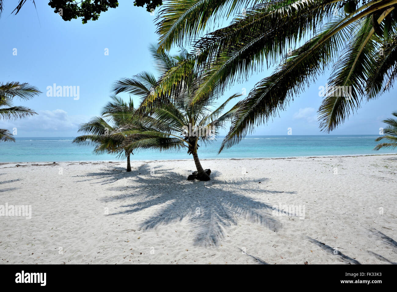 White sand beach and palms, Kenya Stock Photo - Alamy
