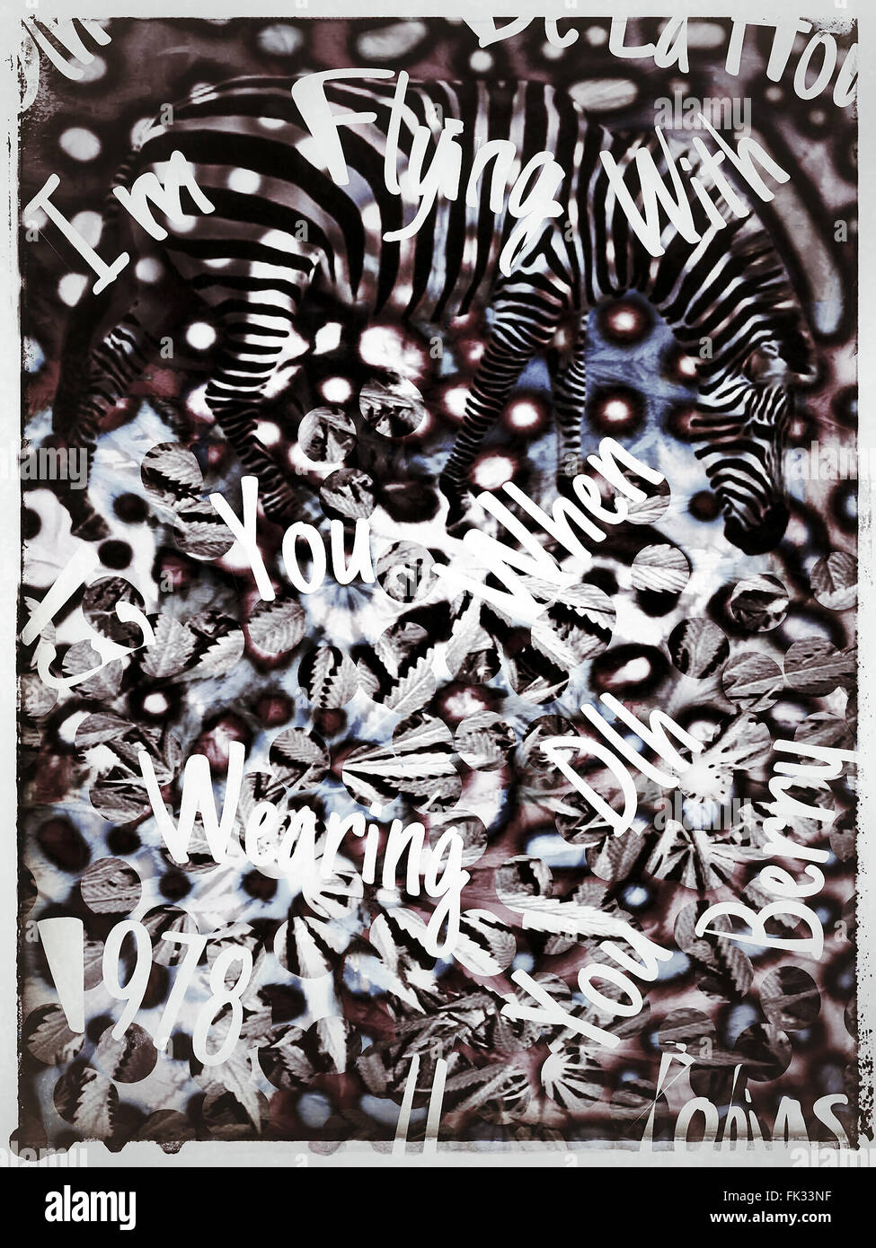 Digital photo storyboard hi-res stock photography and images - Alamy