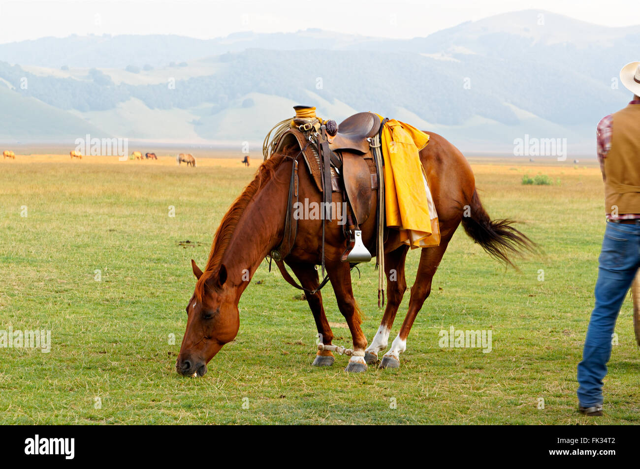 Saddle The Wind High Resolution Stock Photography and Images - Alamy