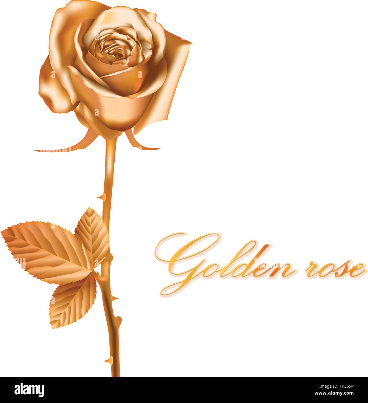 Red rose flower golden Stock Vector Images - Alamy