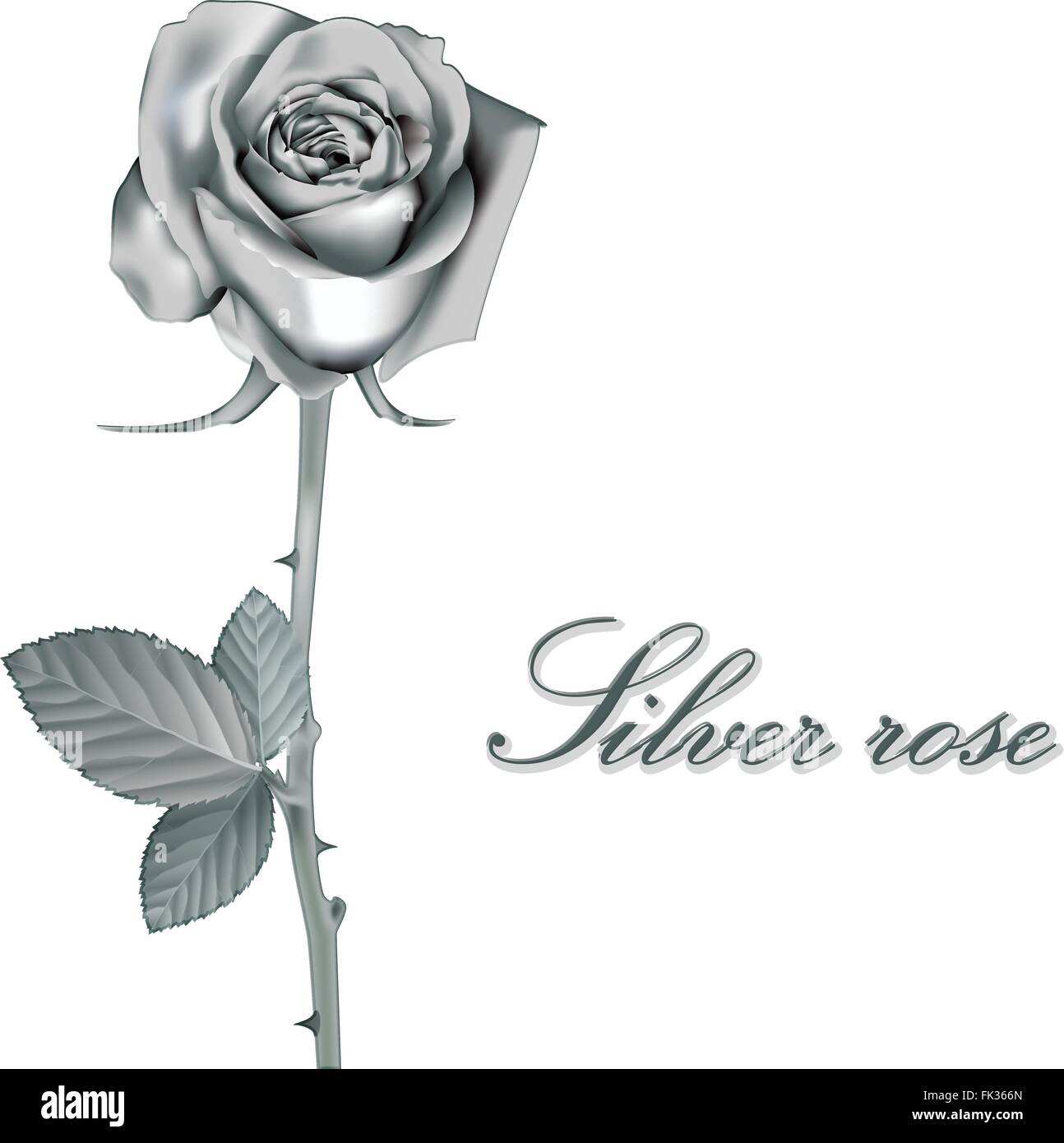 Bronze rose Cut Out Stock Images & Pictures - Alamy