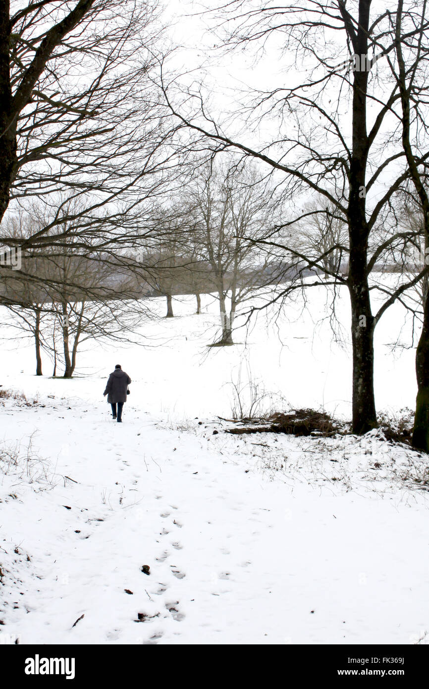 Silhouette of man walking in winter forest hi-res stock photography and ...