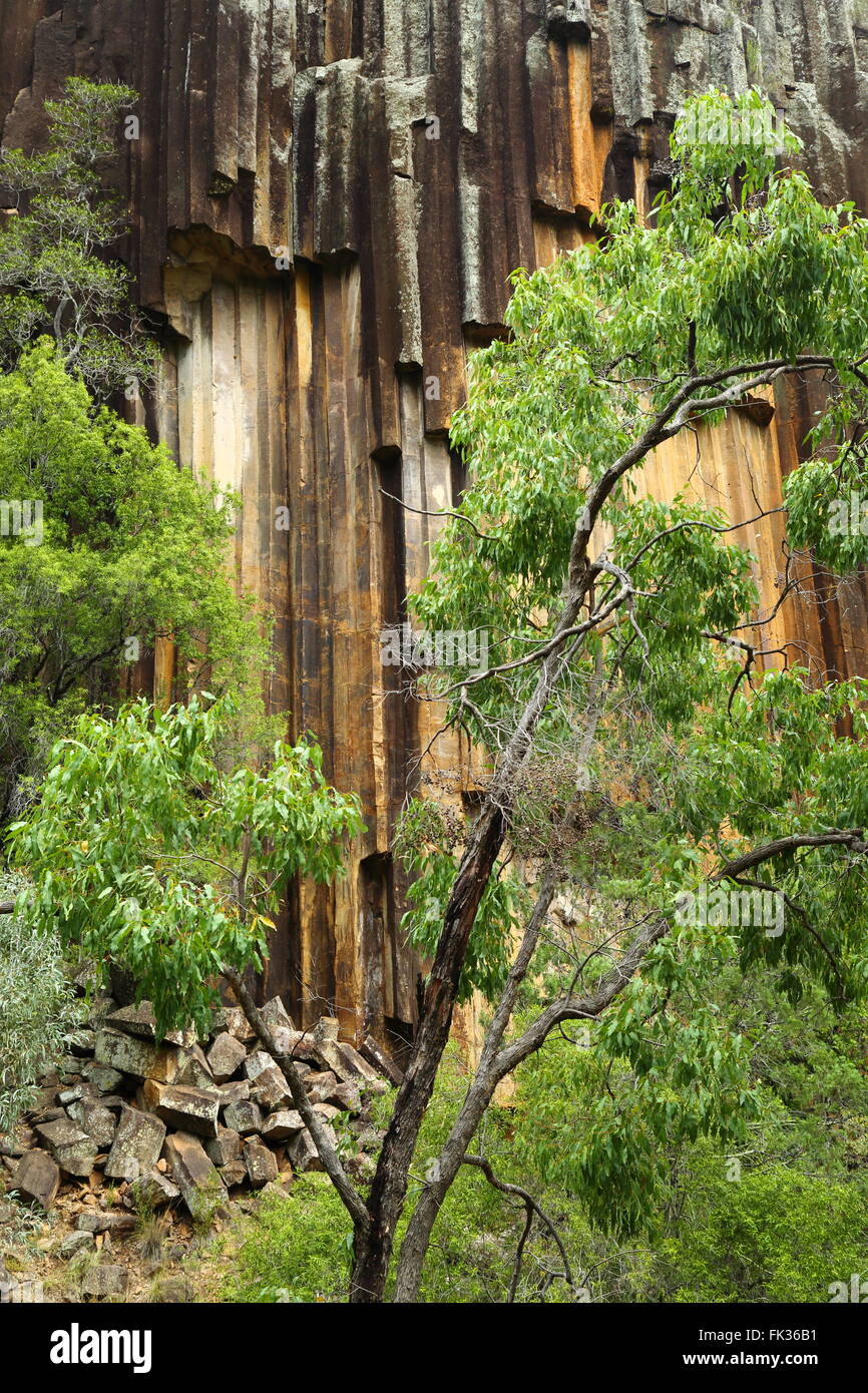 "Sawn Rocks" in Kaputar National Park near Narrabri, NSW, Australia ...