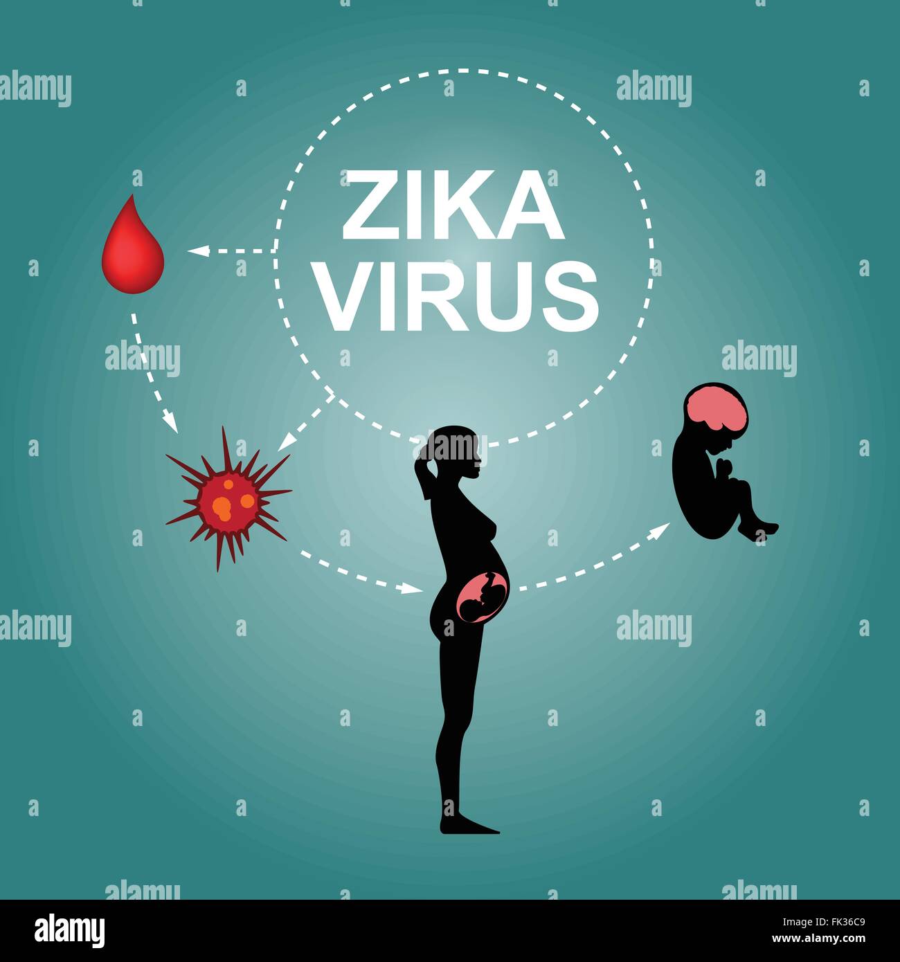 Zika virus, vector Stock Vector Image & Art - Alamy
