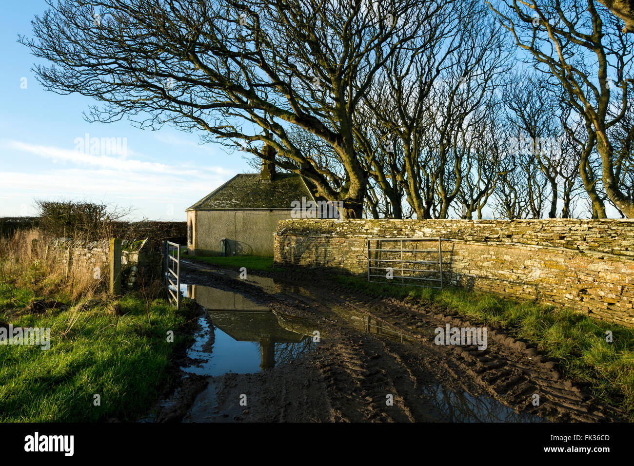 Pool on farm hi-res stock photography and images - Alamy